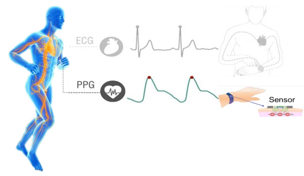 Safety and Functional Test of Wearable Photoplethysmogram (PPG) Smart ...